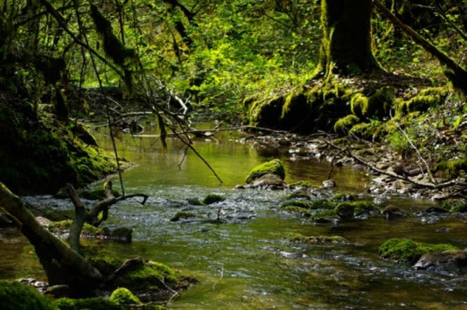 Empêcher la destruction des dernières rivières intactes - Fondation ...